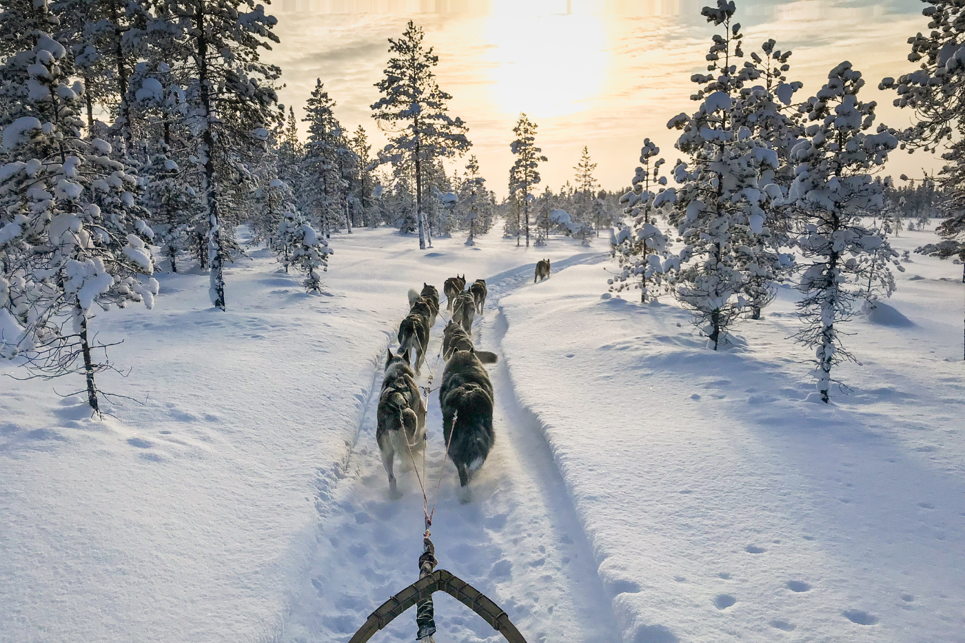 Geef een weekend Lapland cadeau! Een onvergetelijke ervaring...