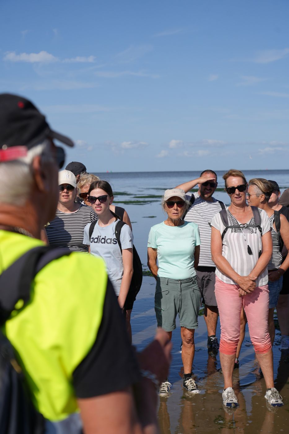 Wadlopen in de Waddenzee!